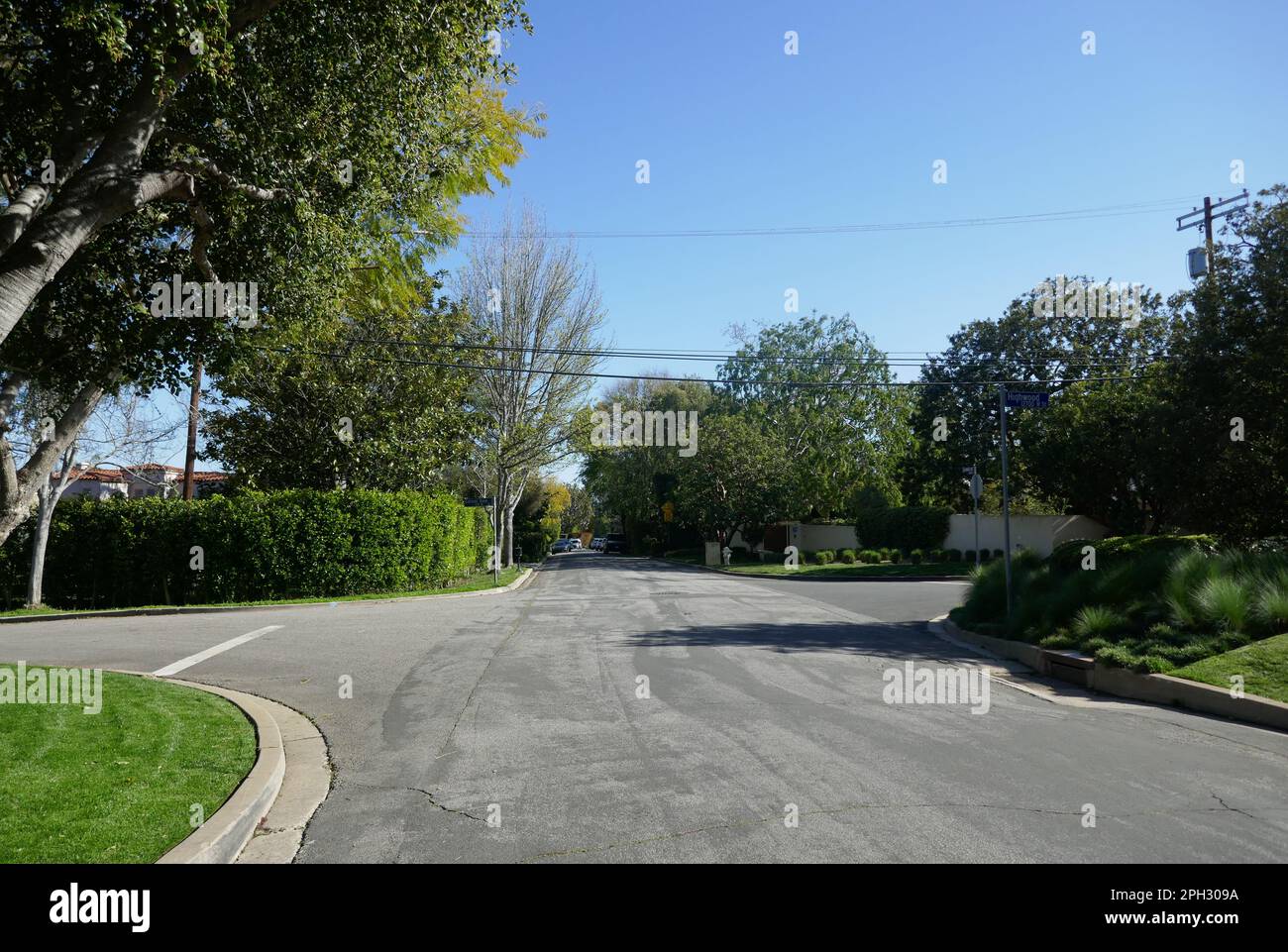 Los Angeles, California, USA 24th March 2023 Actress Andrea Leeds ...