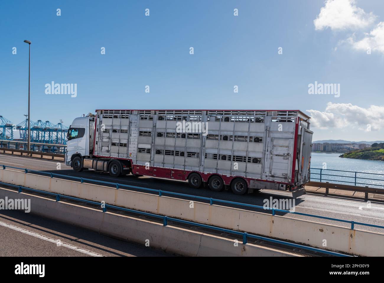 Truck transporting cattle hi-res stock photography and images - Alamy