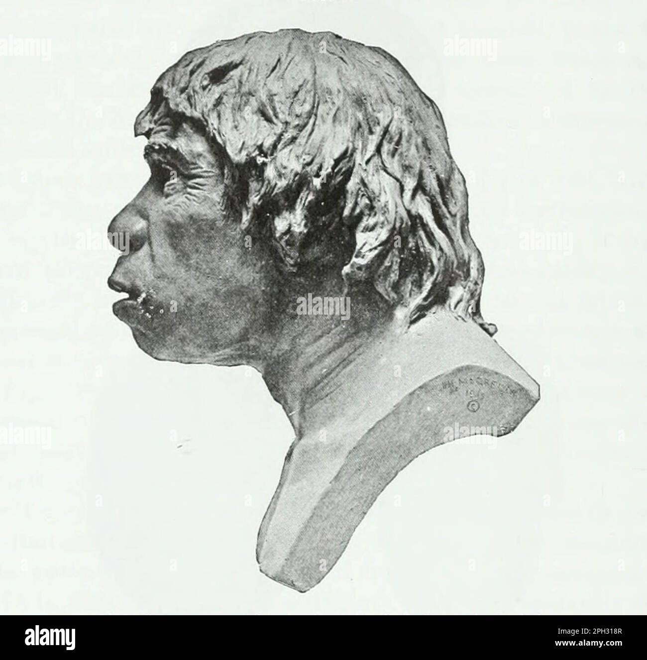 The "Piltdown Man" of Sussex, later revealed to be a hoax. Model by ...