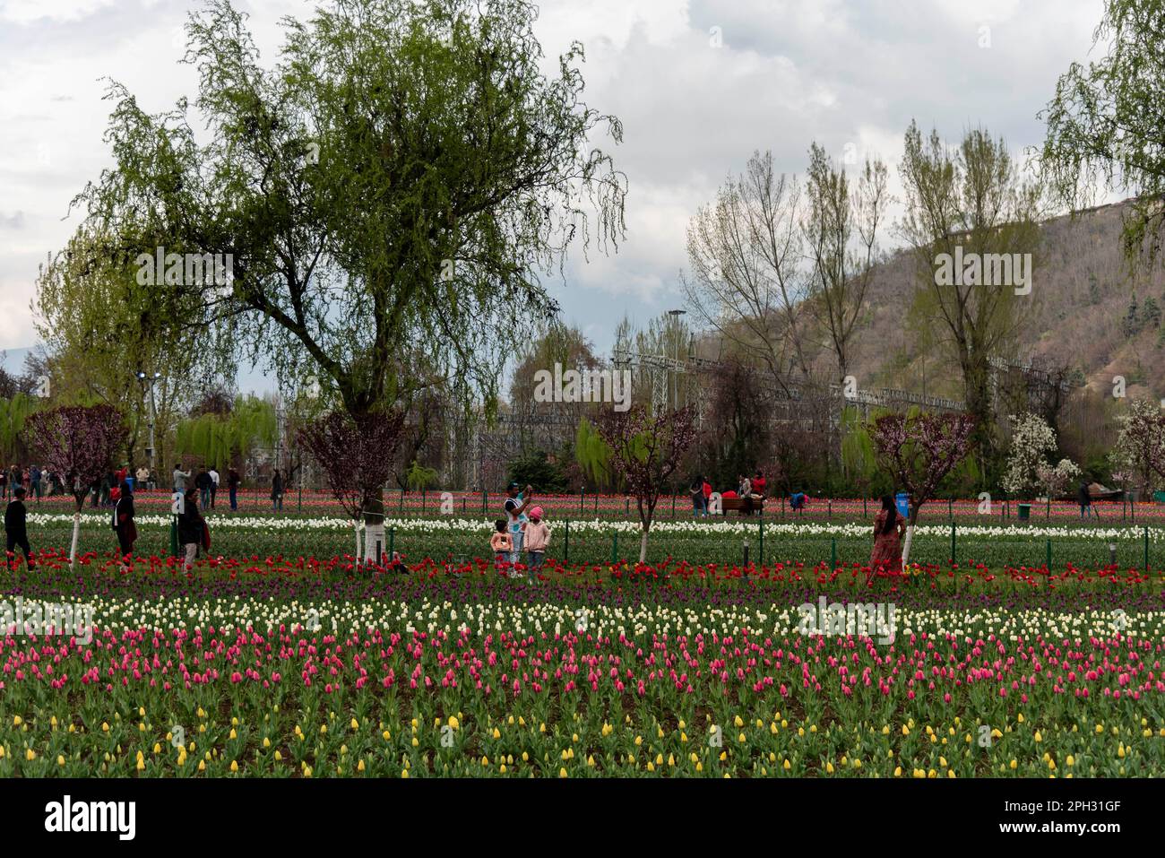 March 25, 2023, Srinagar, Jammu and Kashmir, India: Tourists walk past ...