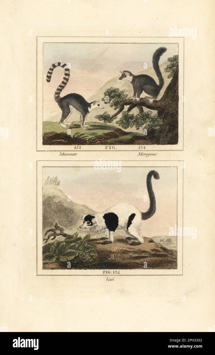 Mongous hi-res stock photography and images - Alamy