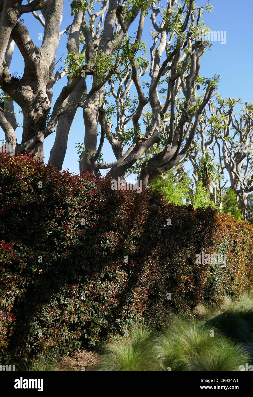 Los Angeles, California, USA 24th March 2023 Director Mark Robson ...