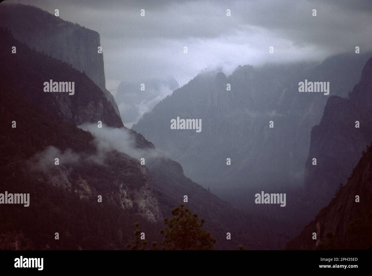Yosemite National Park, CA., U.S.A. 1985. Panorama view of Yosemite ...