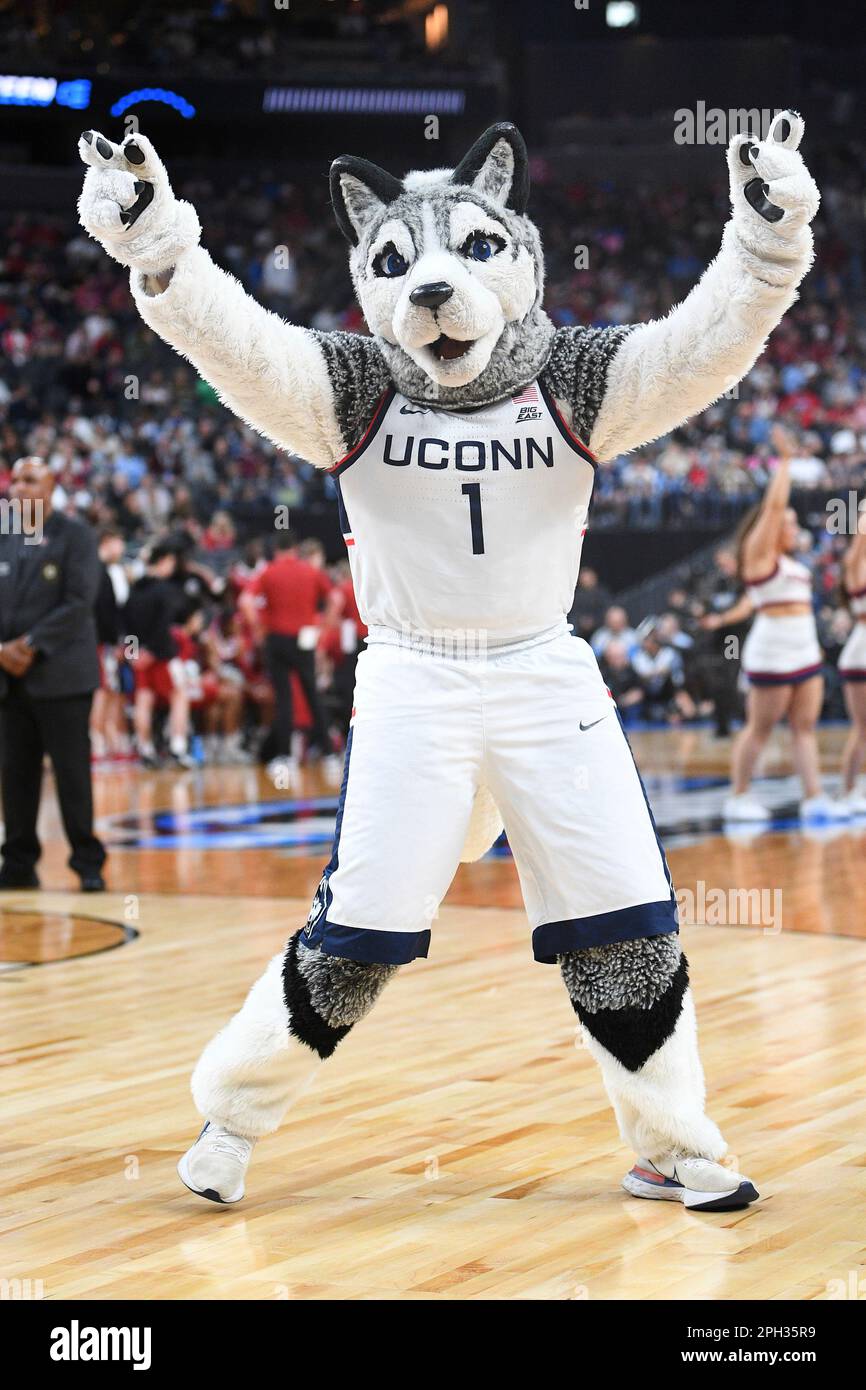 New Uconn Mascot 2022