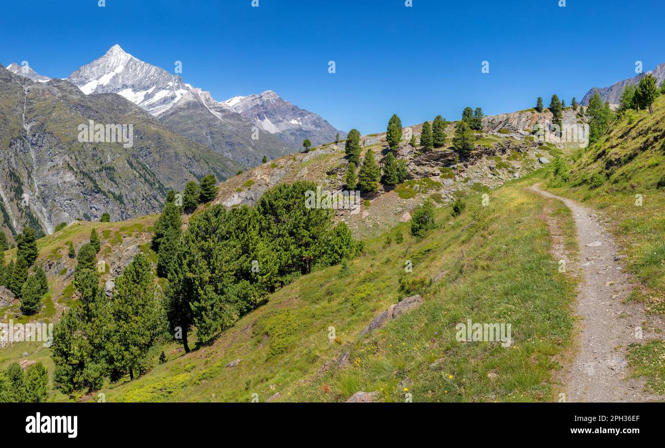 The Walliser alps peaks - Weisshorn, over the Mattertal valley Stock ...