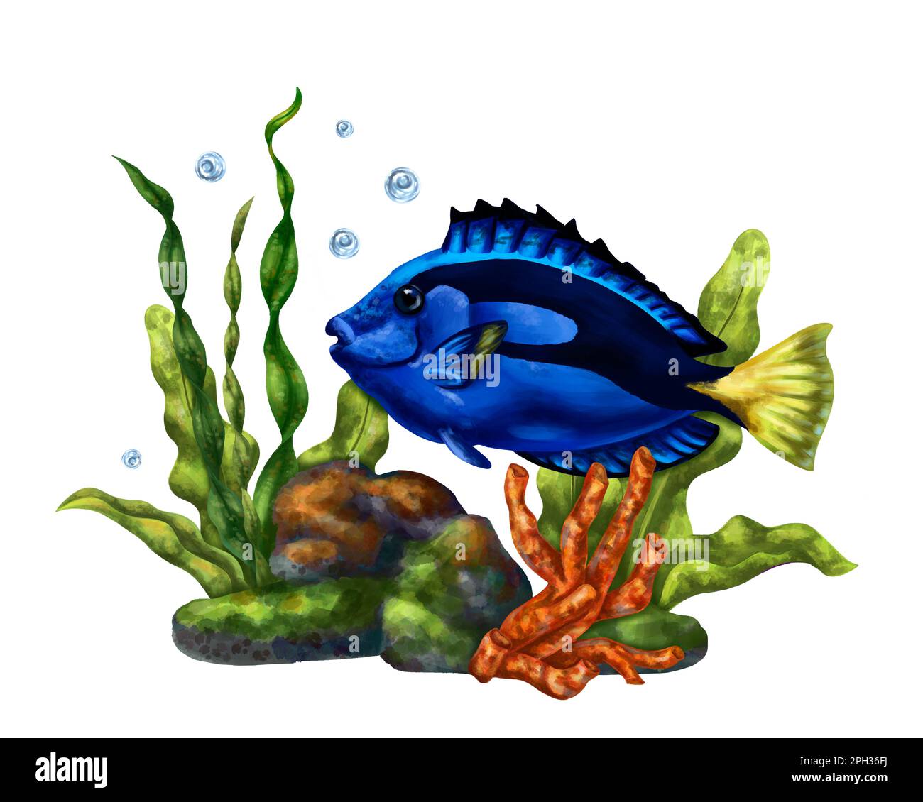 A bright composition with an underwater world. Red coral, seaweed ...