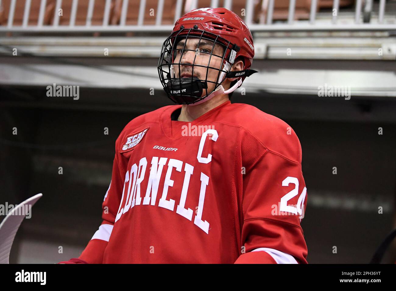 20230325 hi-res stock photography and images - Alamy