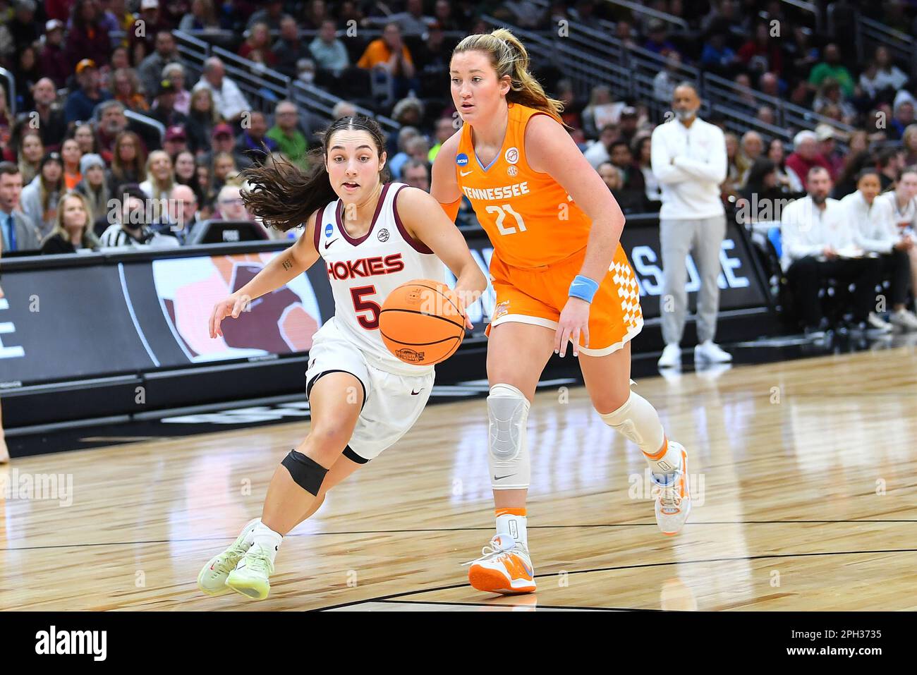 Georgia amoore hi-res stock photography and images - Alamy