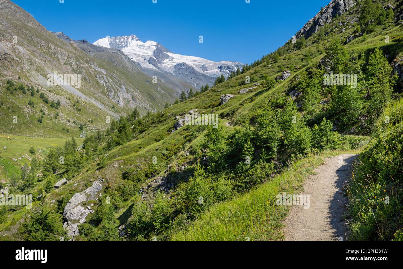 The Alphubel in Walliser alps over the Mattertal valley - Ottafe Stock ...