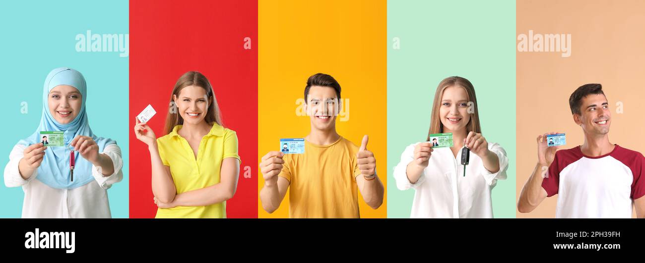 Set of people with driving licenses on color background Stock Photo - Alamy