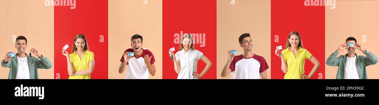 Set of people with driving licenses on color background Stock Photo - Alamy