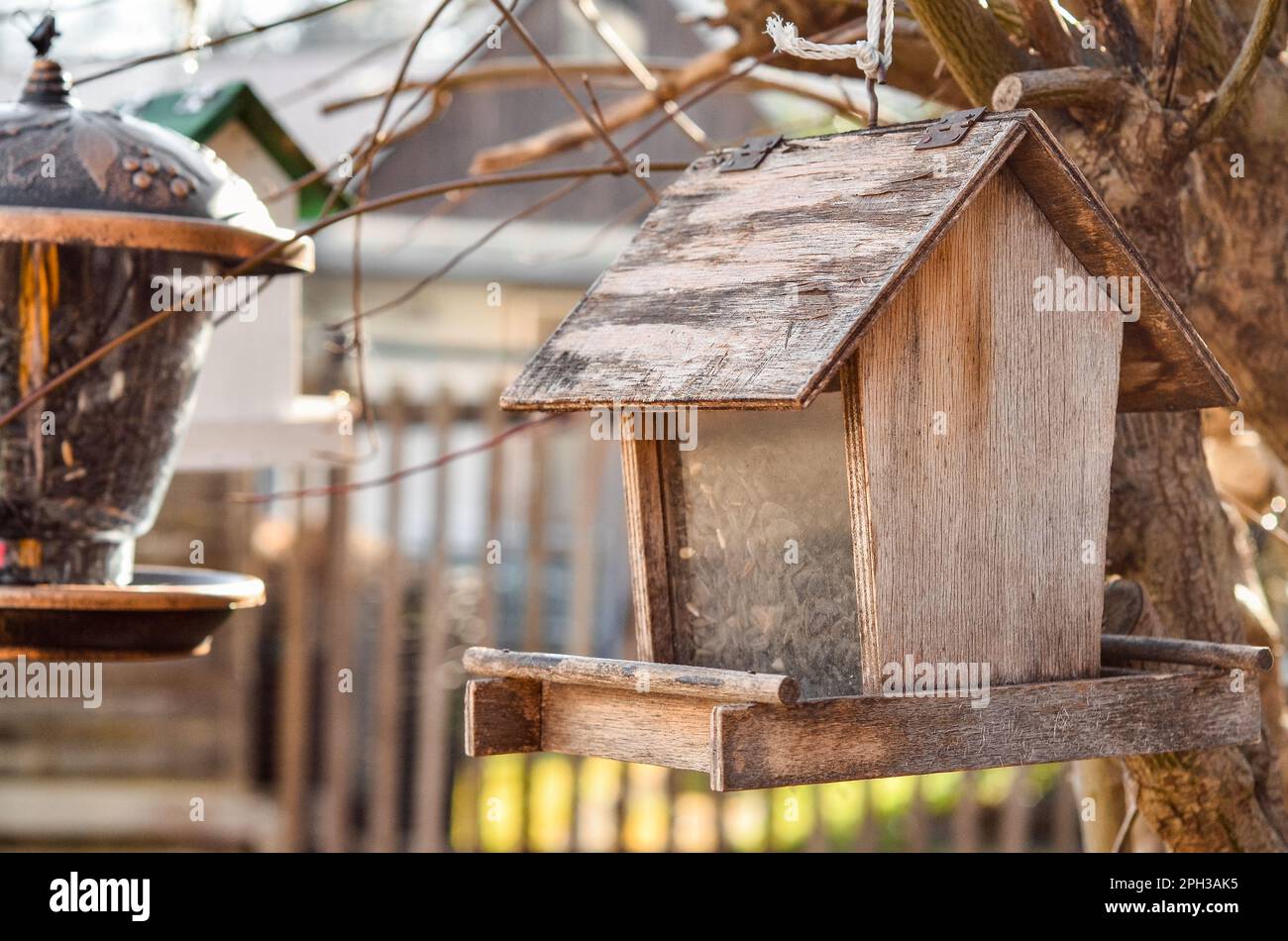 View of bird house in village, closeup Stock Photo - Alamy
