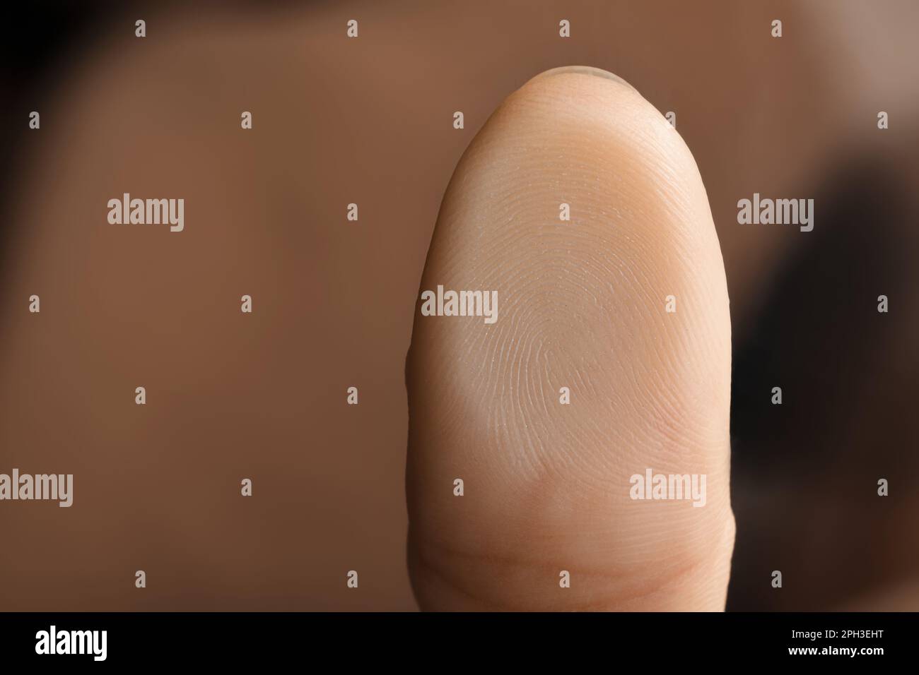 Female surface anatomy hi-res stock photography and images - Alamy