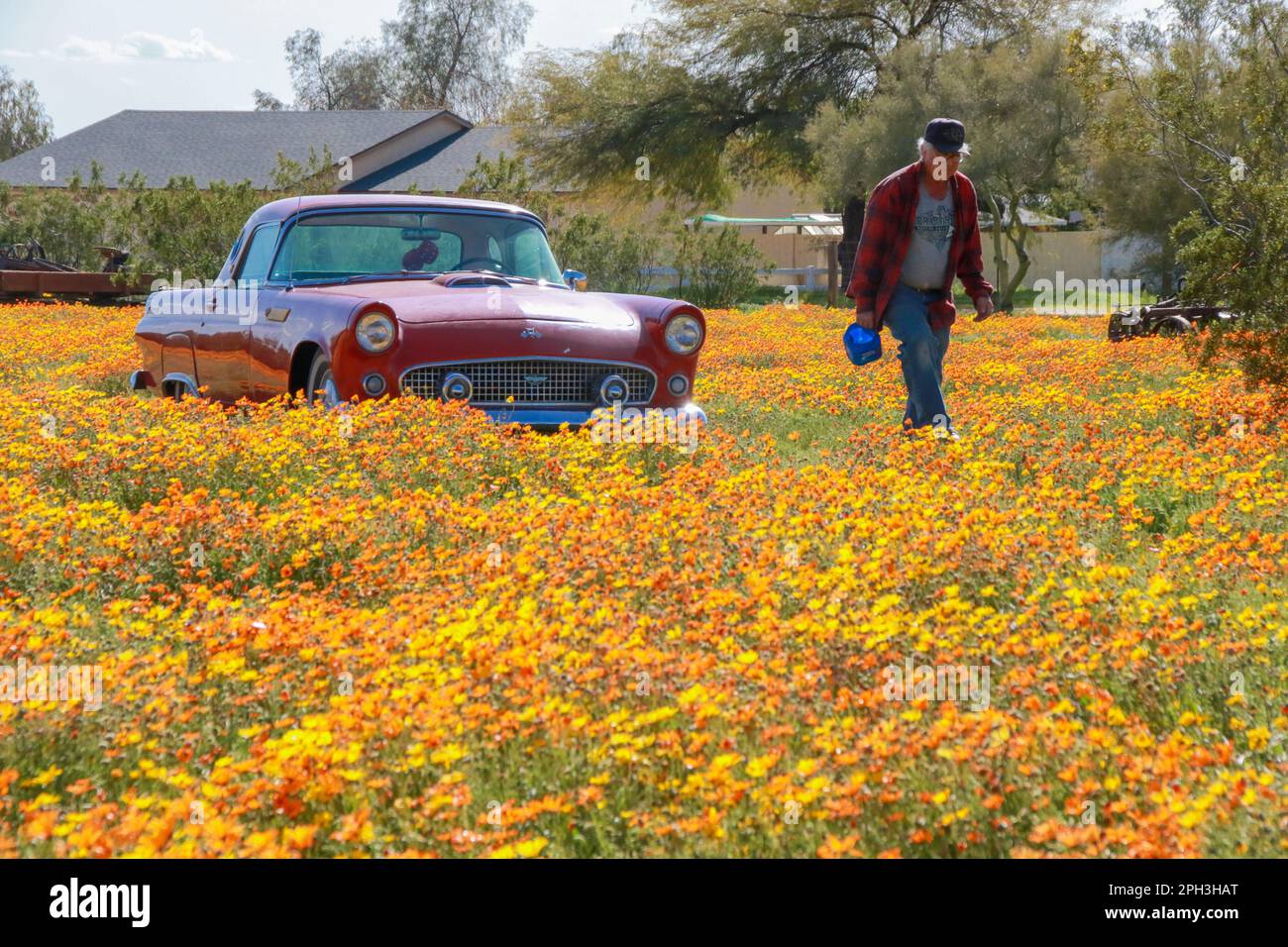 Expansive plot hi-res stock photography and images - Alamy