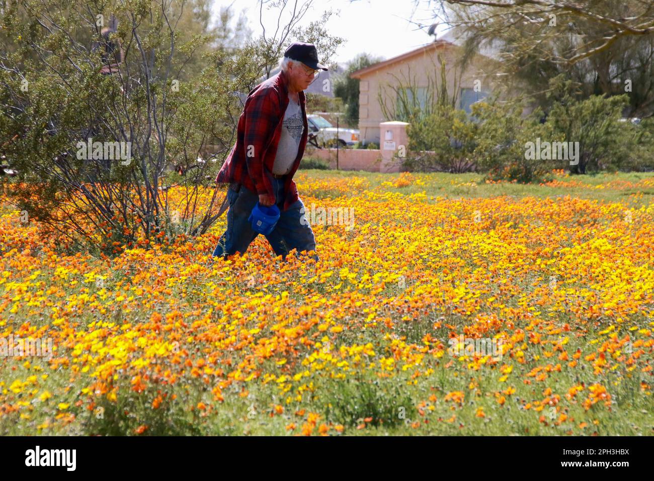 Expansive plot hi-res stock photography and images - Alamy