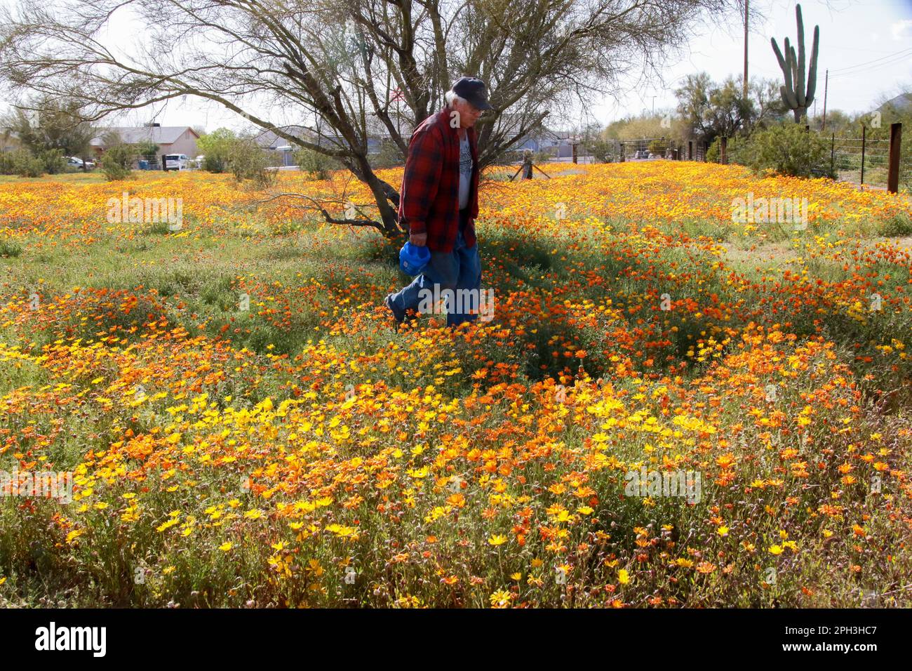 Rocky Hilton's three-acre plot on Brown & Meridian roads, Apache ...