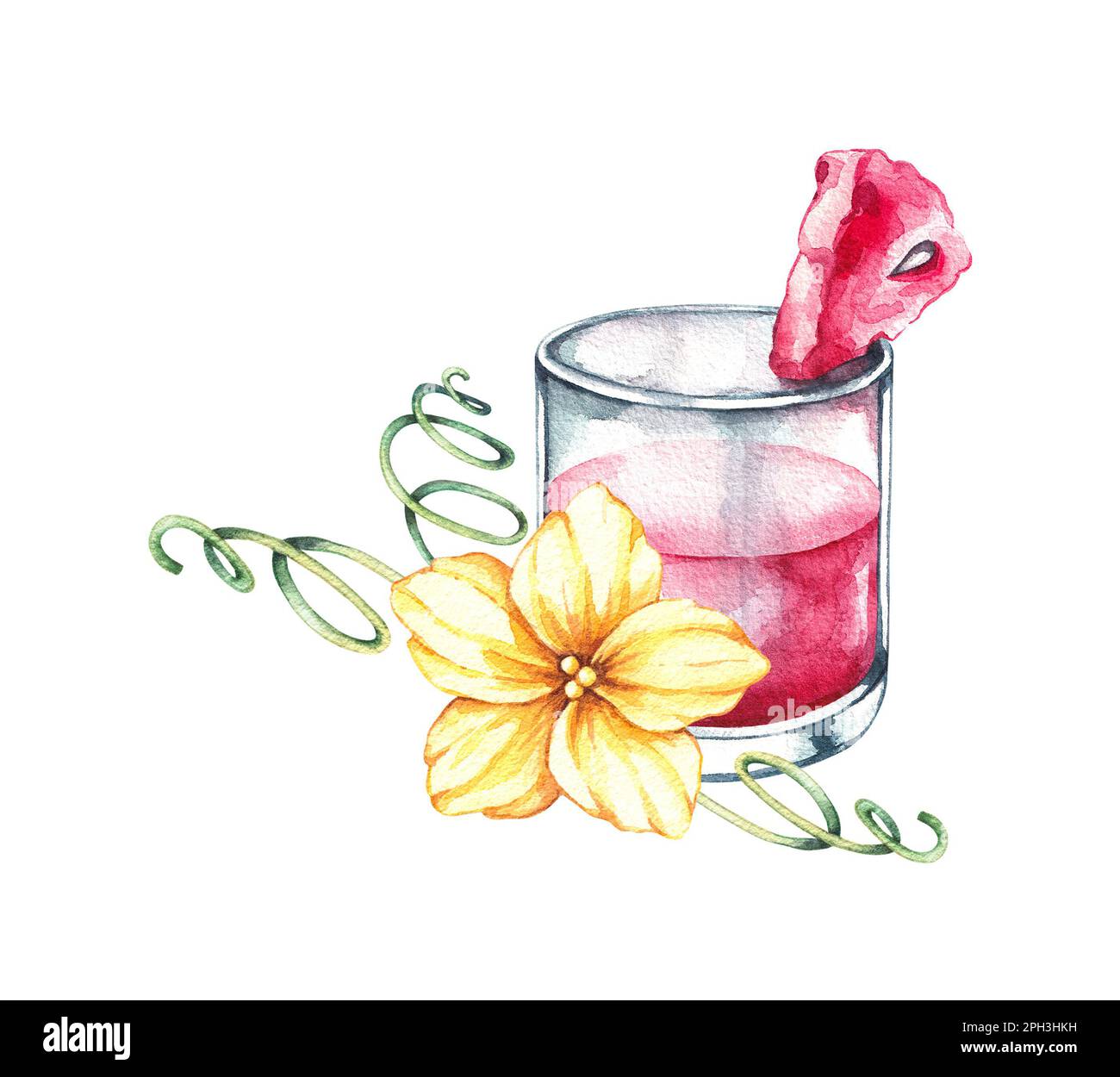 Watercolor cocktail of watermelon with a flower on a white background ...