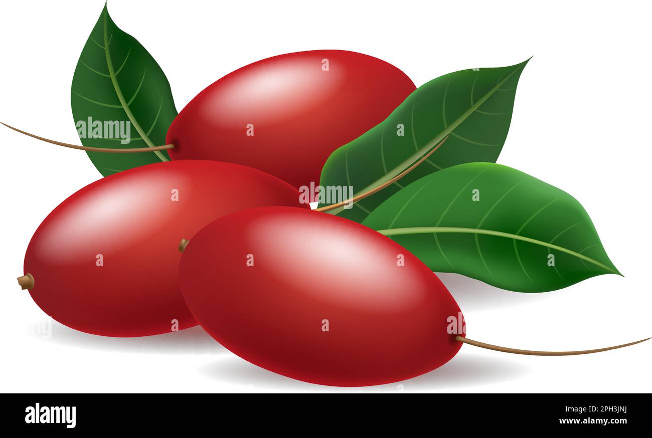 Miraculous food Stock Vector Images - Alamy