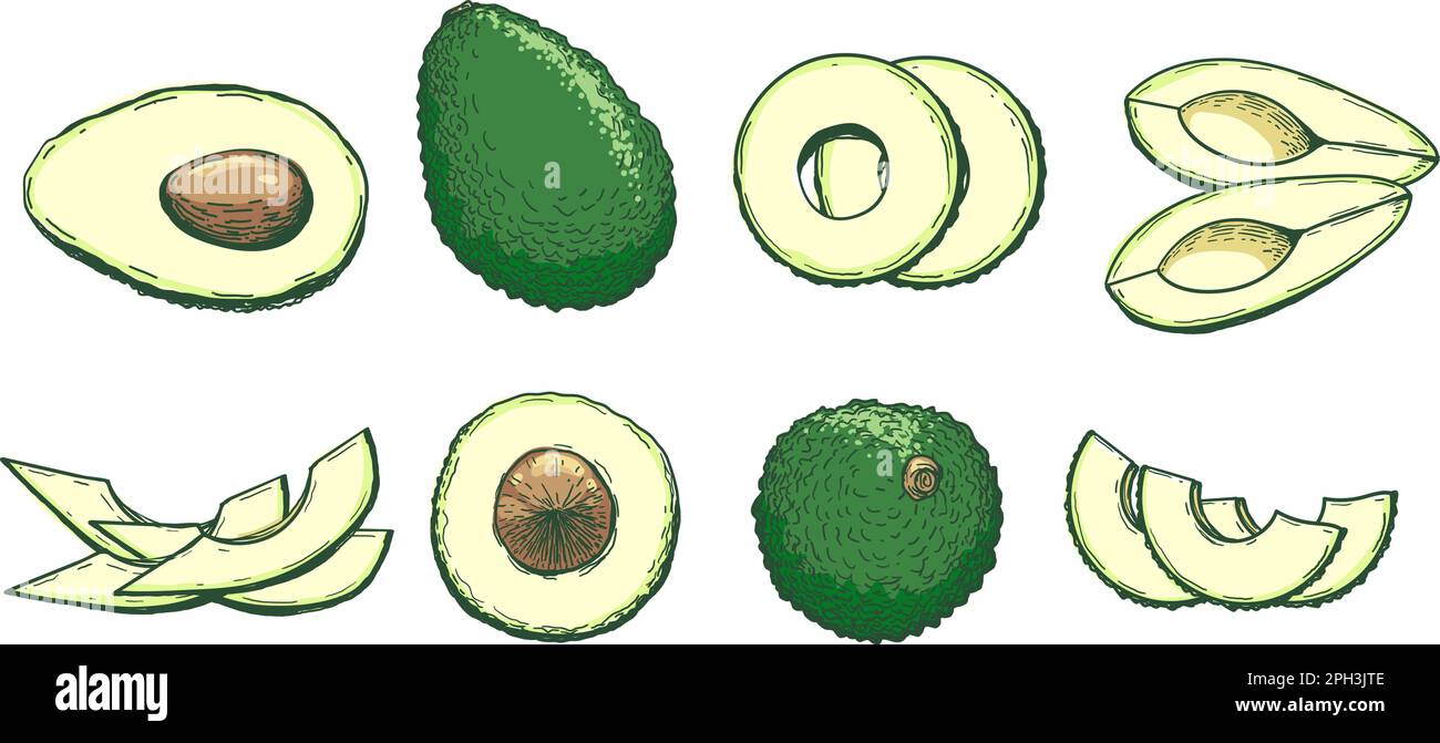 Avocado doodle drawings Stock Vector Image & Art - Alamy