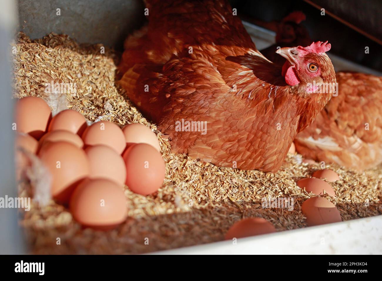 Mobile support unit hi-res stock photography and images - Alamy