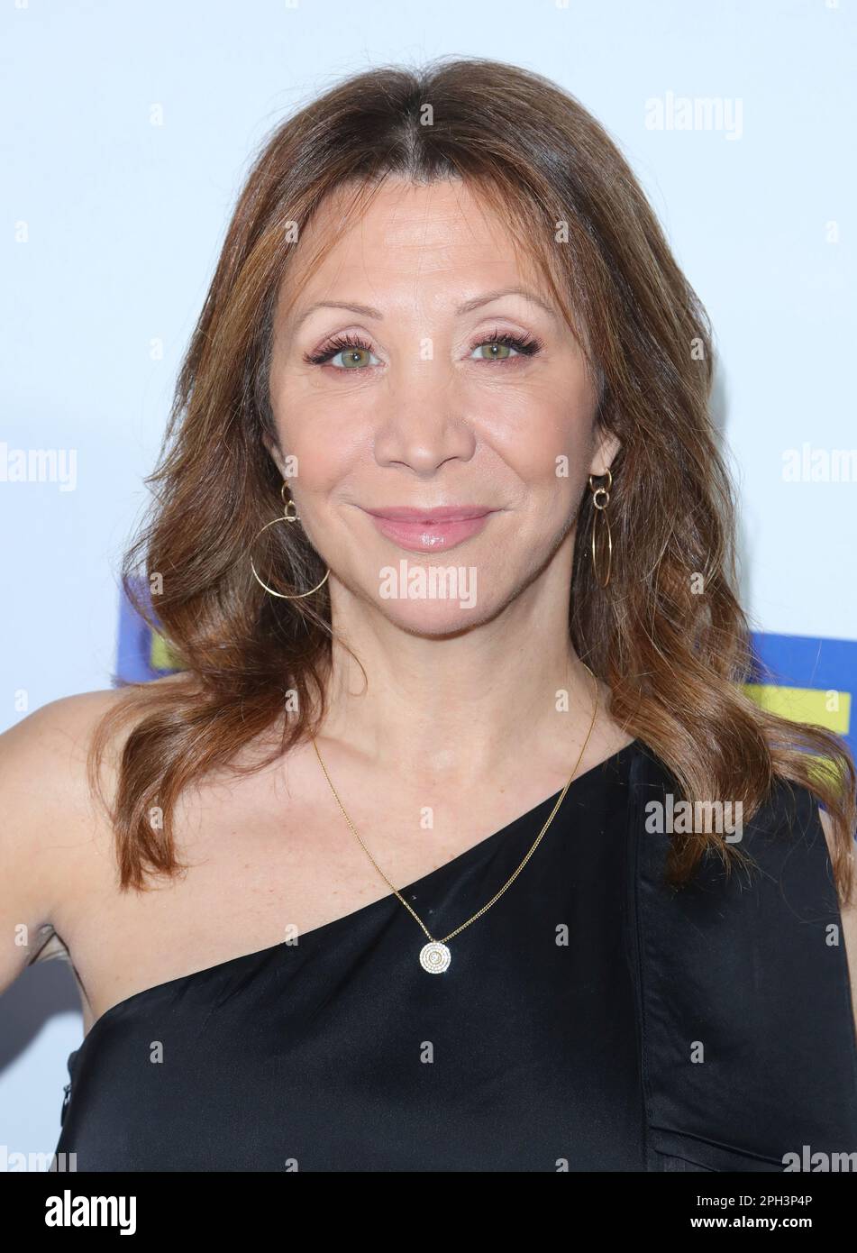 Los Angeles Usa 25th Mar 2023 Cheri Oteri Arrives At The 2023 Human Rights Campaign La