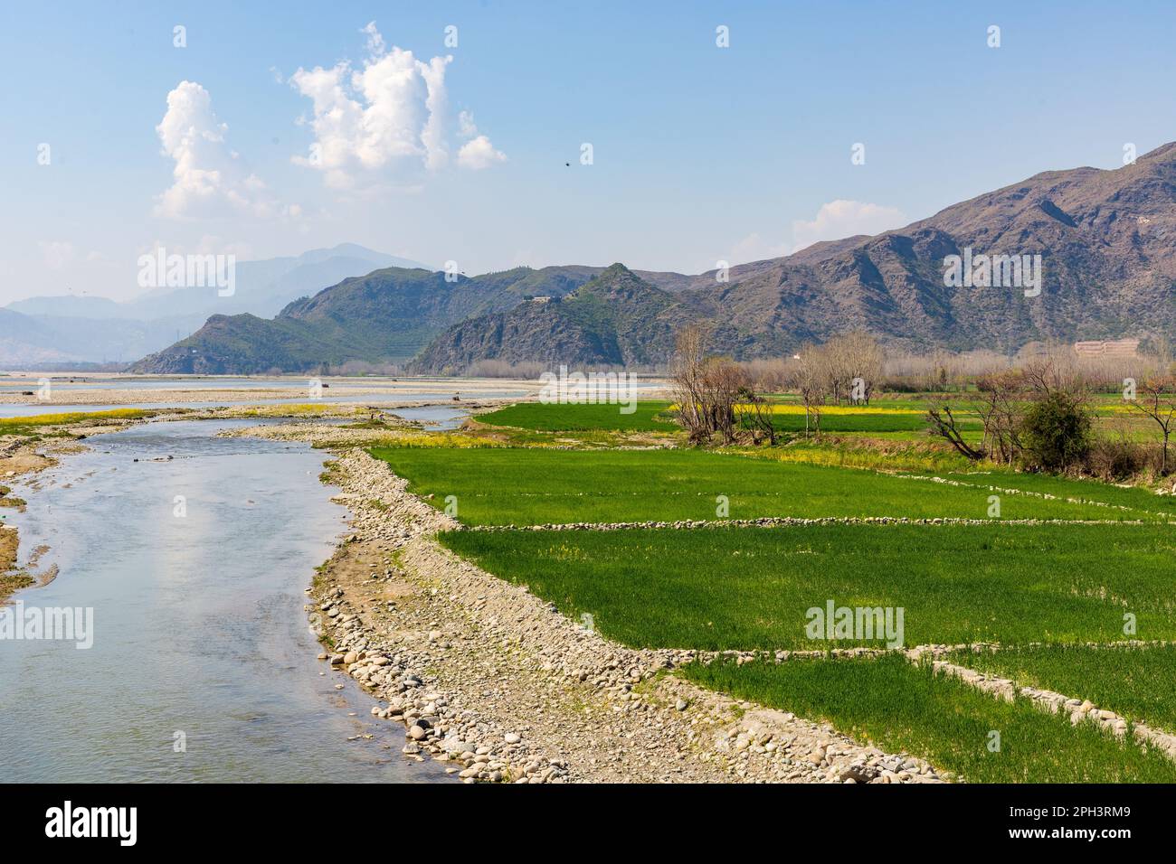 A beautiful view of green fields along a river bank in swat valley ...