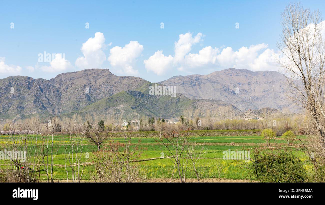 Splendid green field and blue sky with clouds on the mountain ...
