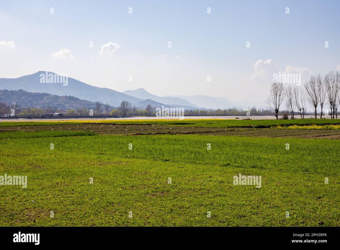 Bright sunny day at lush green fields in swat valley, Pakistan Stock ...