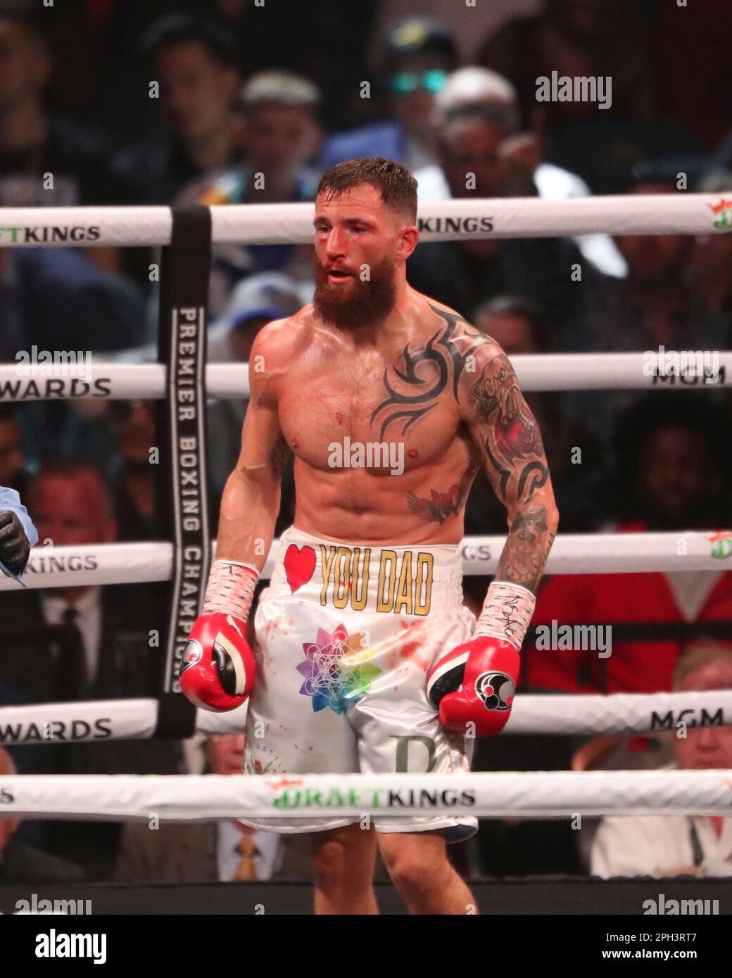 LAS VEGAS, NEVADA - MARCH 25: Joseph Spencer in the ring for his Super ...