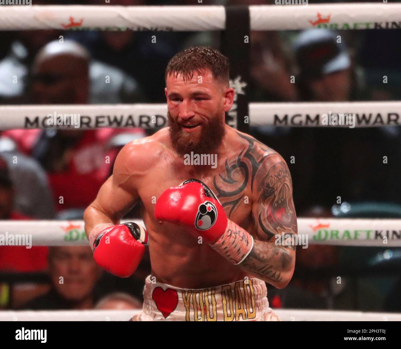 LAS VEGAS, NEVADA - MARCH 25: Joseph Spencer in the ring for the Super ...