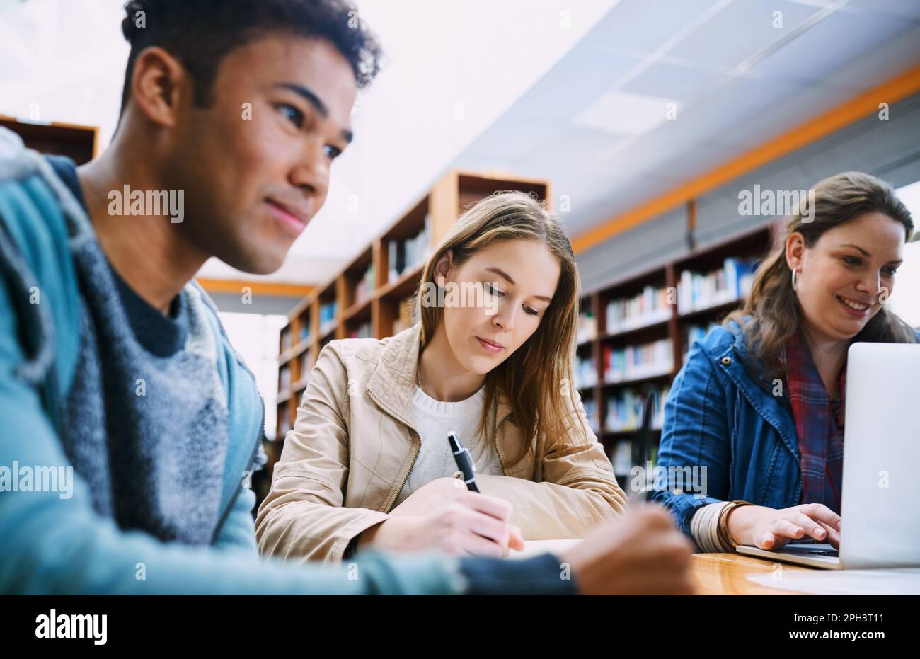 Working hard to get the best grades. a group of students studying hard ...