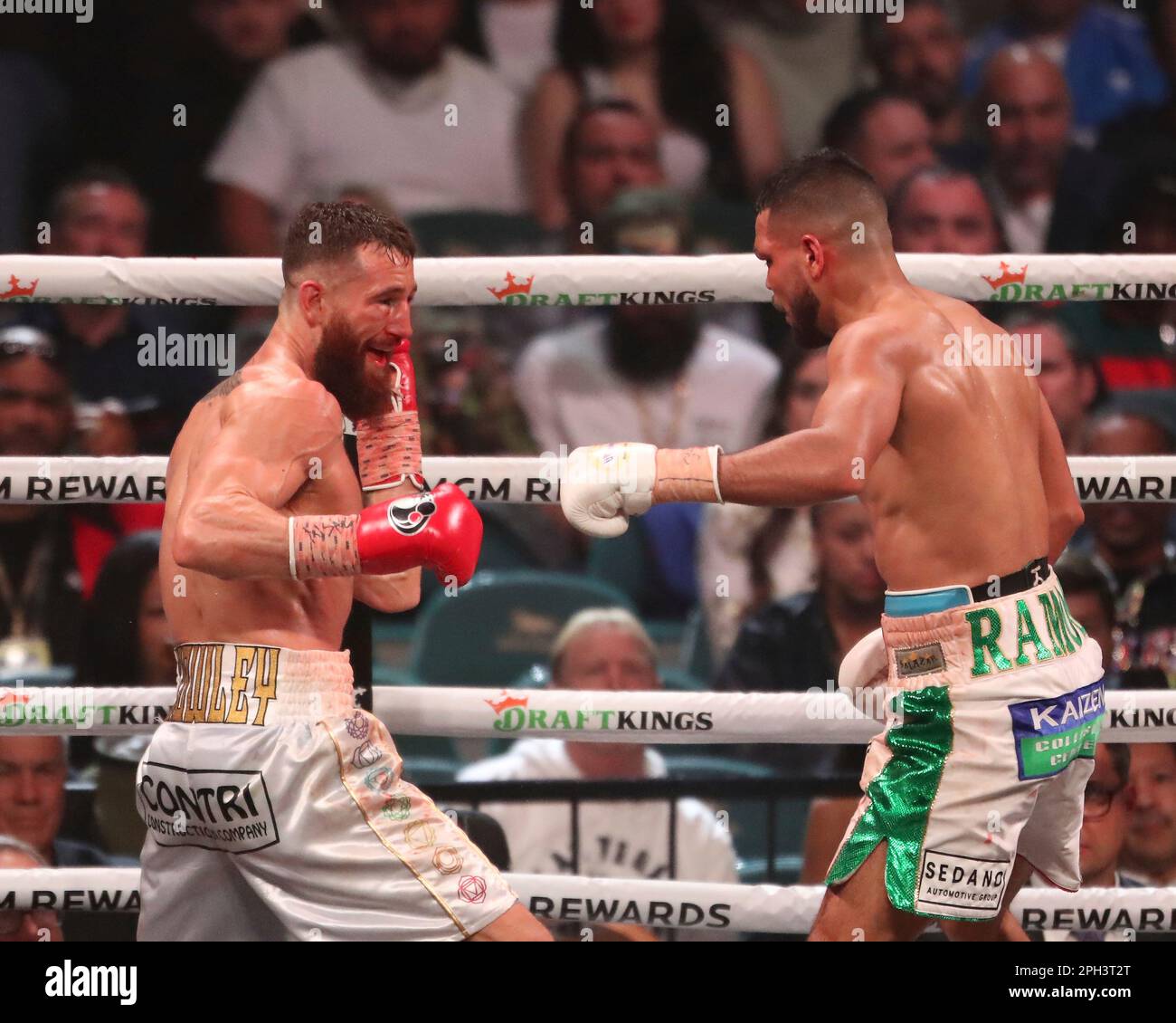 LAS VEGAS, NEVADA - MARCH 25: (L-R) Joseph Spencer and Jesus Ramos meet ...