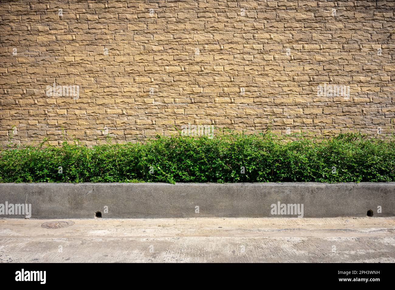 Frontal view of a brown brick wall by day. In front of it a green hedge ...