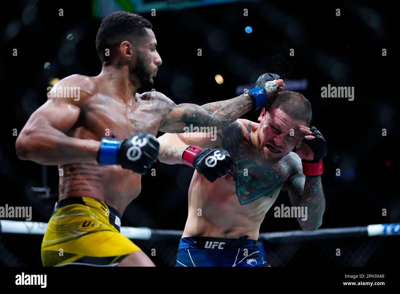 SAN ANTONIO, TEXAS - MARCH 25: (L-R) Lucas Alexander punches Steven ...