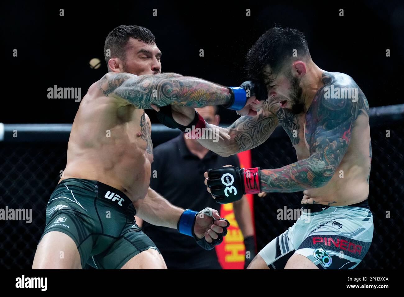 SAN ANTONIO, TEXAS - MARCH 25: (L-R) Tucker Lutz punches Daniel Pineda ...