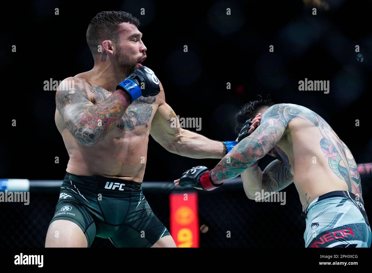 SAN ANTONIO, TEXAS - MARCH 25: (L-R) Tucker Lutz punches Daniel Pineda ...