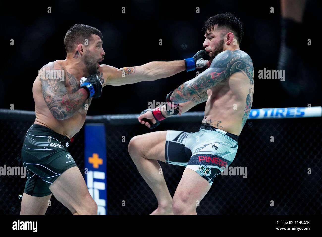SAN ANTONIO, TEXAS - MARCH 25: (L-R) Tucker Lutz punches Daniel Pineda ...