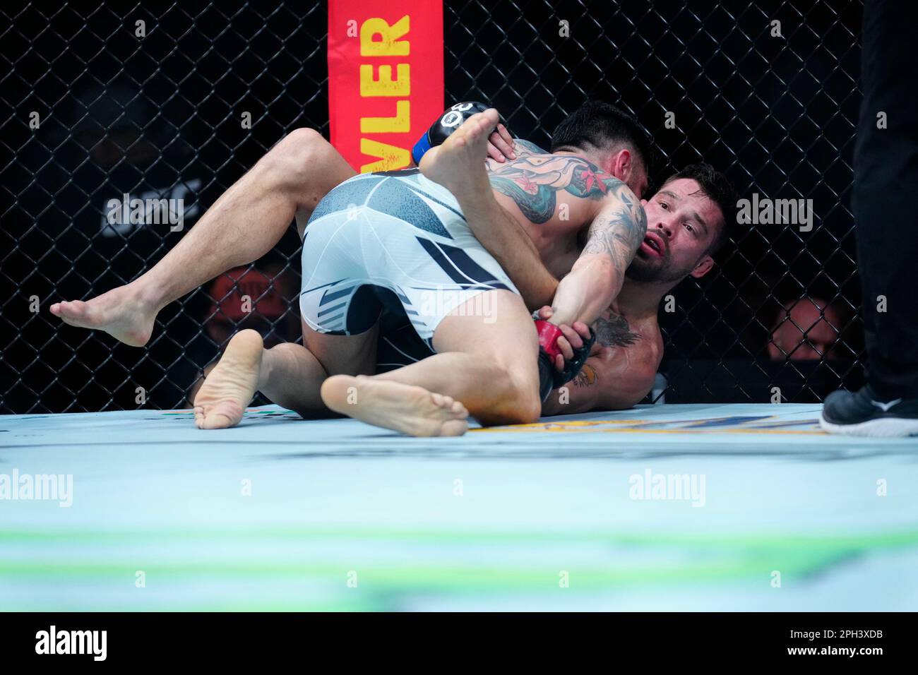 SAN ANTONIO, TEXAS - MARCH 25: Daniel Pineda (top) controls the body of ...