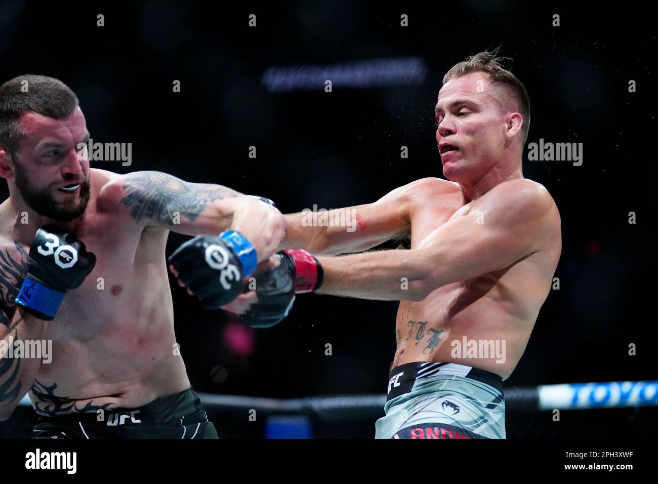 SAN ANTONIO, TEXAS - MARCH 25: (L-R) Austin Lingo punches Nate Landwehr ...
