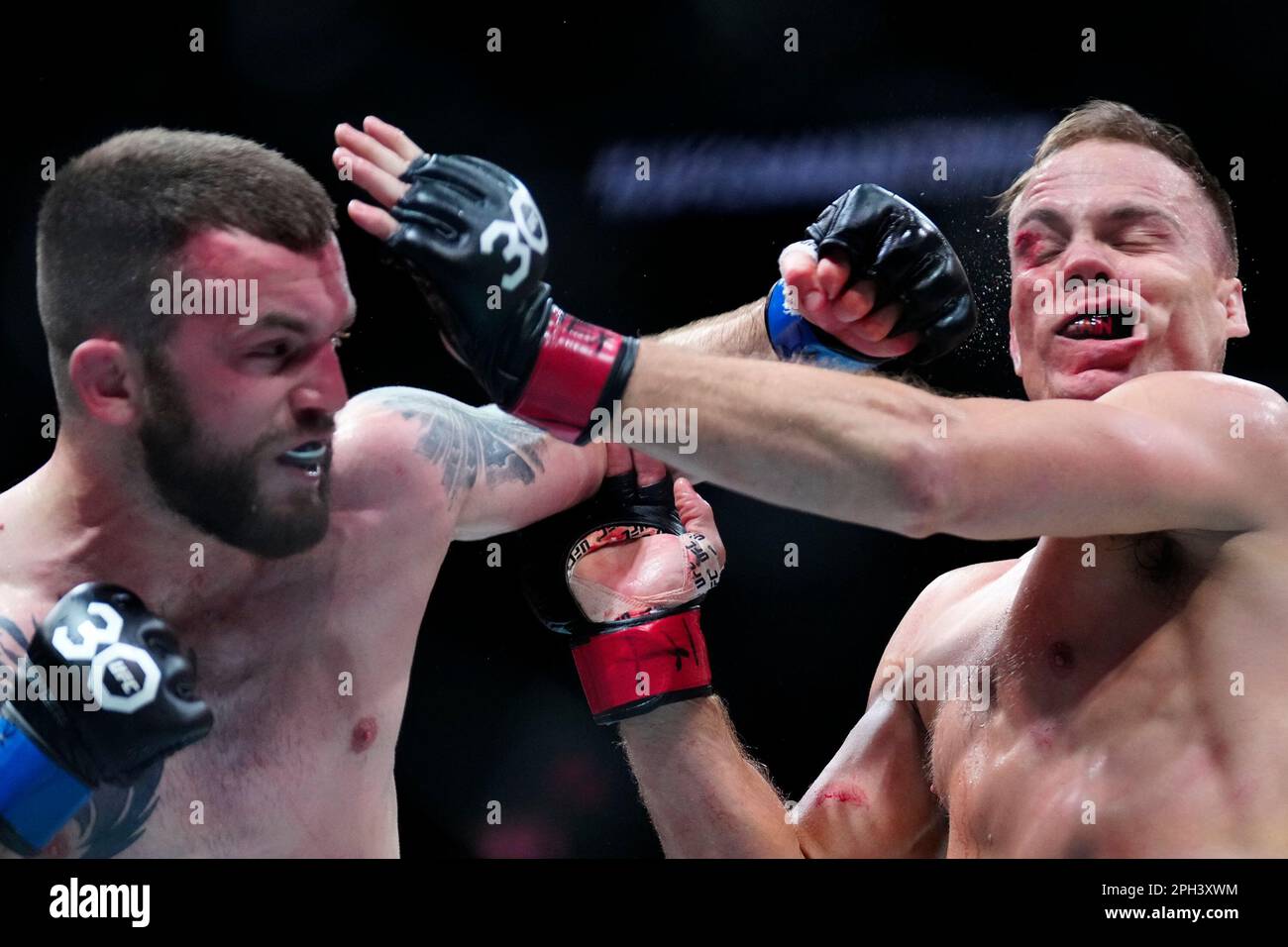 SAN ANTONIO, TEXAS - March 25: (L-R) Nate Landwehr and Austin Lingo in ...