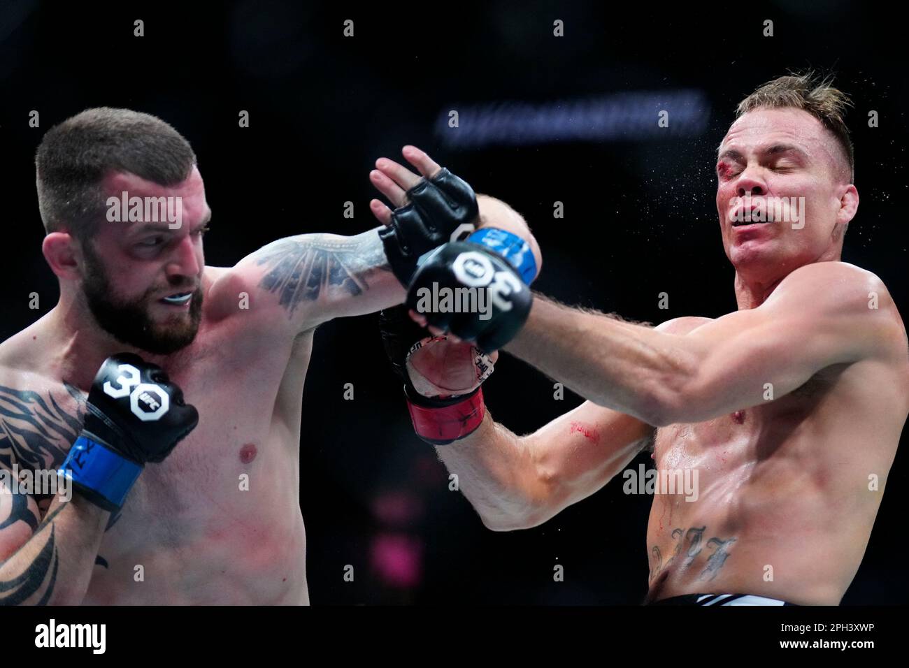 SAN ANTONIO, TEXAS - March 25: (L-R) Nate Landwehr and Austin Lingo in ...