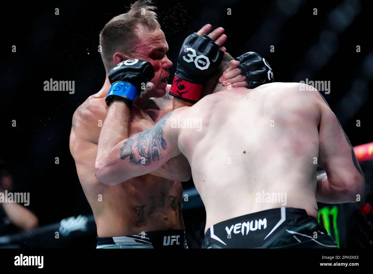 SAN ANTONIO, TEXAS - MARCH 25: (R-L) Austin Lingo punches Nate Landwehr ...