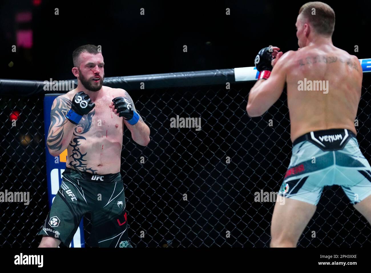 SAN ANTONIO, TEXAS - MARCH 25: (L-R) Austin Lingo battles Nate Landwehr ...