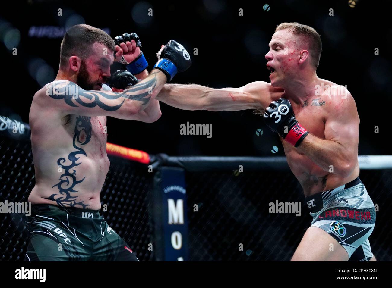 SAN ANTONIO, TEXAS - MARCH 25: (R-L) Nate Landwehr punches Austin Lingo ...
