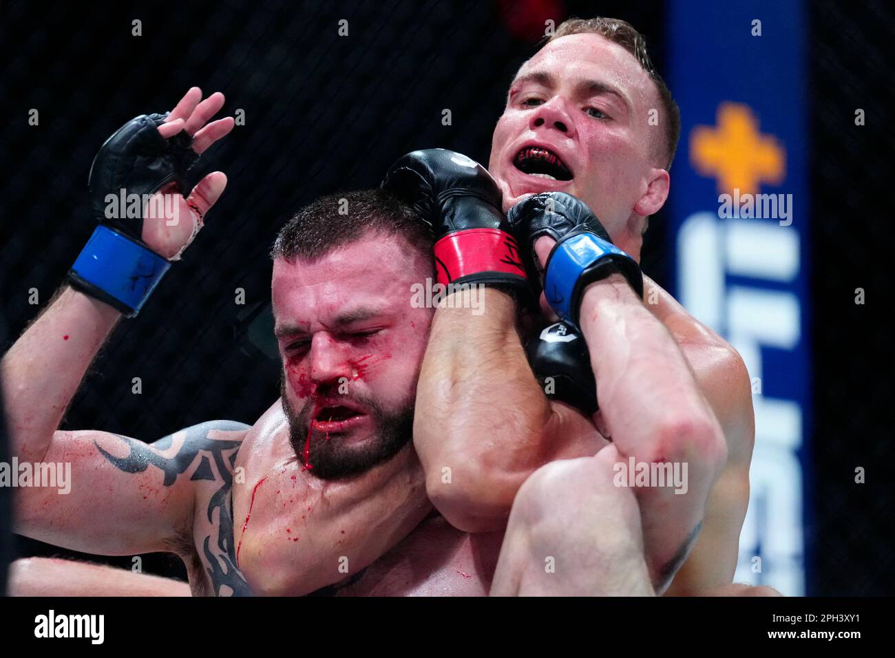 SAN ANTONIO, TEXAS - March 25: (L-R) Nate Landwehr and Austin Lingo in ...