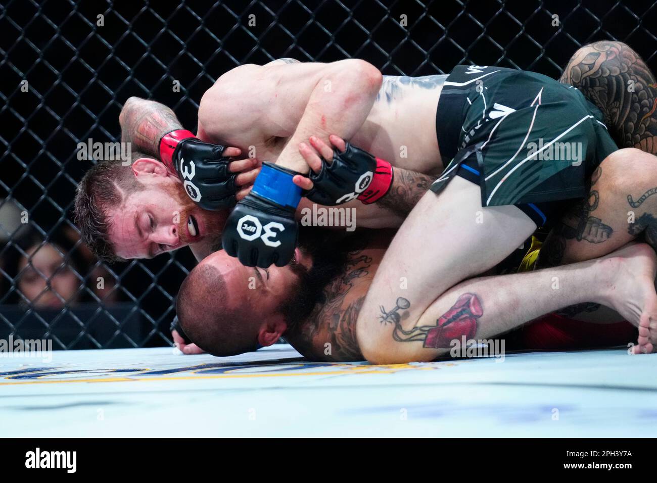 SAN ANTONIO, TEXAS - MARCH 25: Cory Sandhagen (top) controls the body ...