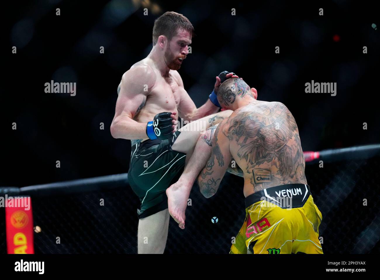 SAN ANTONIO, TEXAS - MARCH 25: (R-L) Cory Sandhagen battles Marlon Vera ...