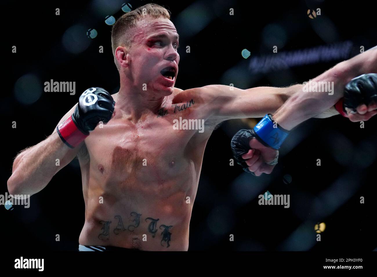 SAN ANTONIO, TEXAS - MARCH 25: (L-R) Nate Landwehr punches Austin Lingo ...