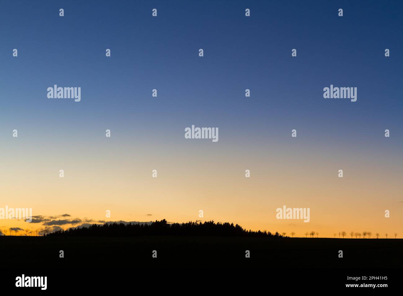 Tree against the night sky hi-res stock photography and images - Alamy