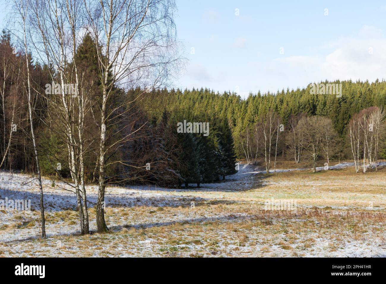 Clearing glade hi-res stock photography and images - Alamy